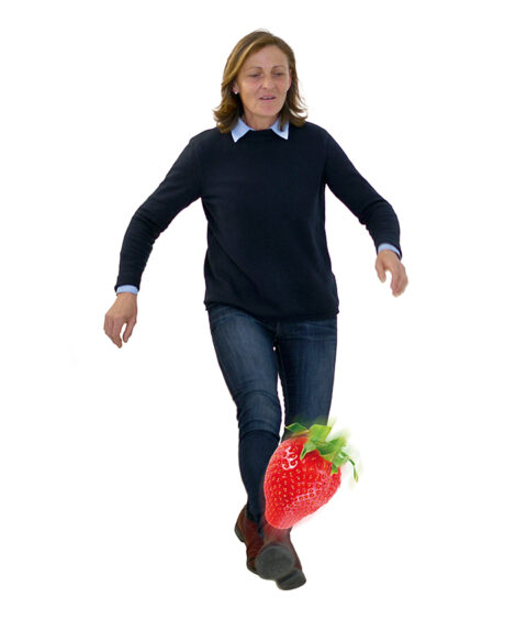 About us - Insort - We catch them all