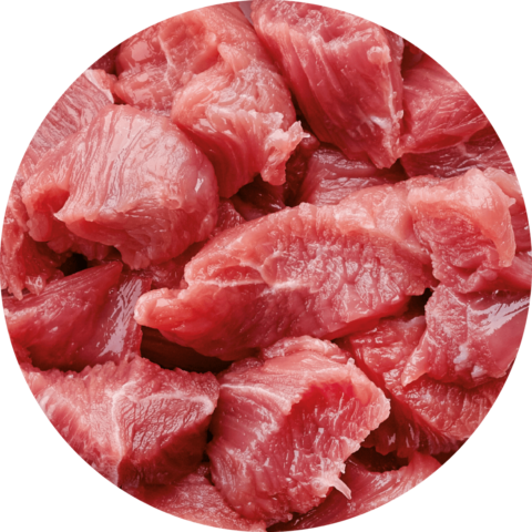 Solutions - Insort - We catch them all