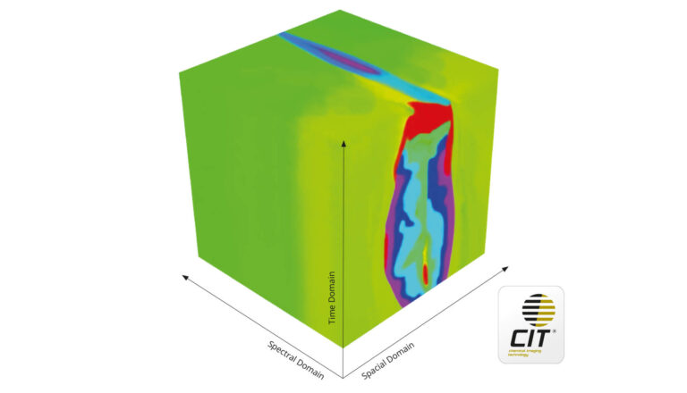 About us - Insort - We catch them all