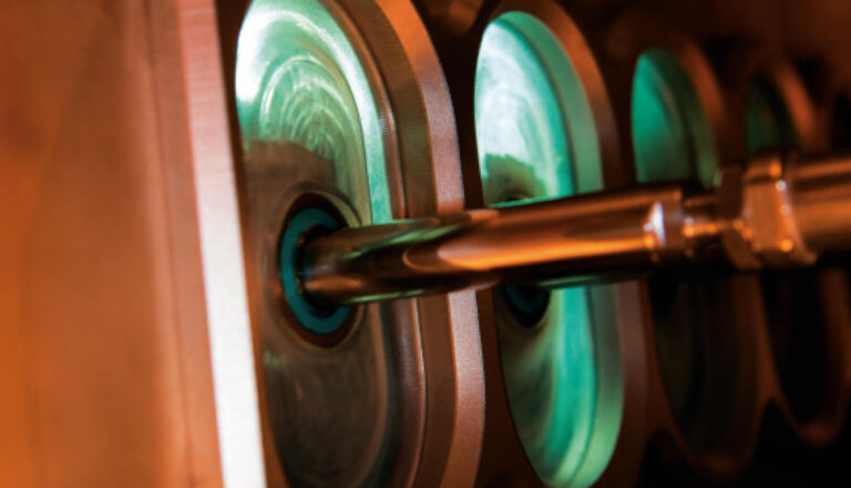 About us - Insort - We catch them all