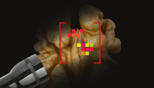 About us - Insort - We catch them all