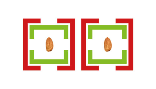 About us - Insort - We catch them all