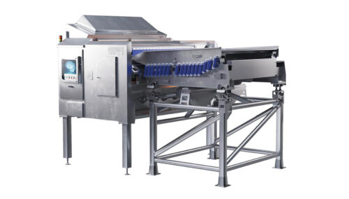 About us - Insort - We catch them all